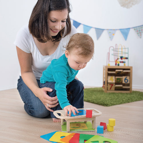 Discounted - Shapy Sorter - Shape sorting table – Advancing All Children